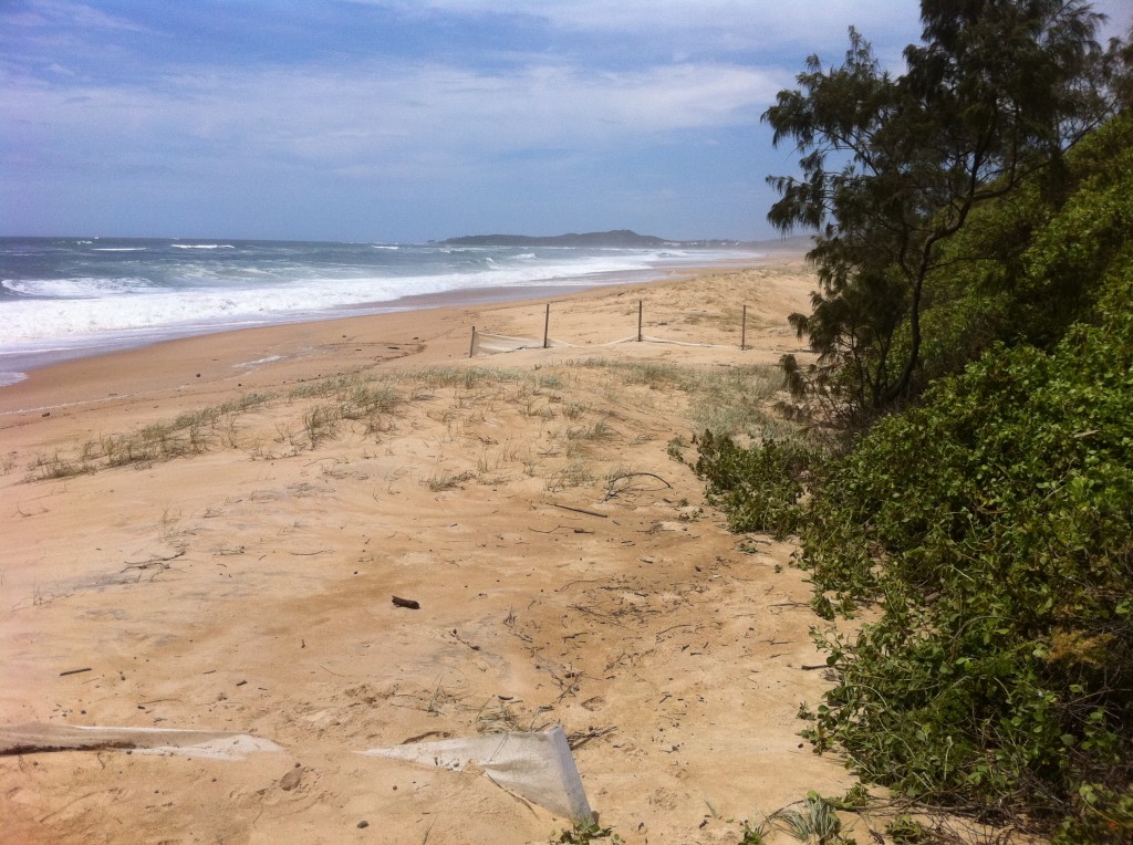 Sand Traps work through storms - Protect Wooli