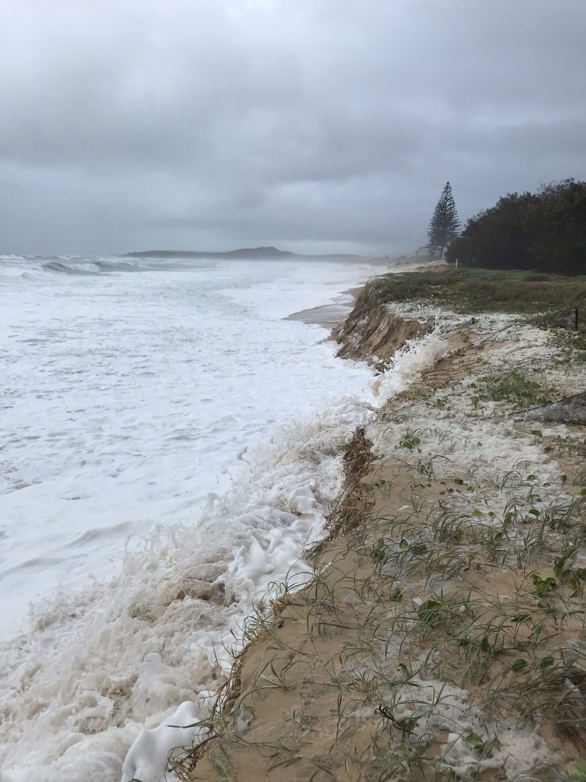Updates on Wooli Beach Protection Efforts