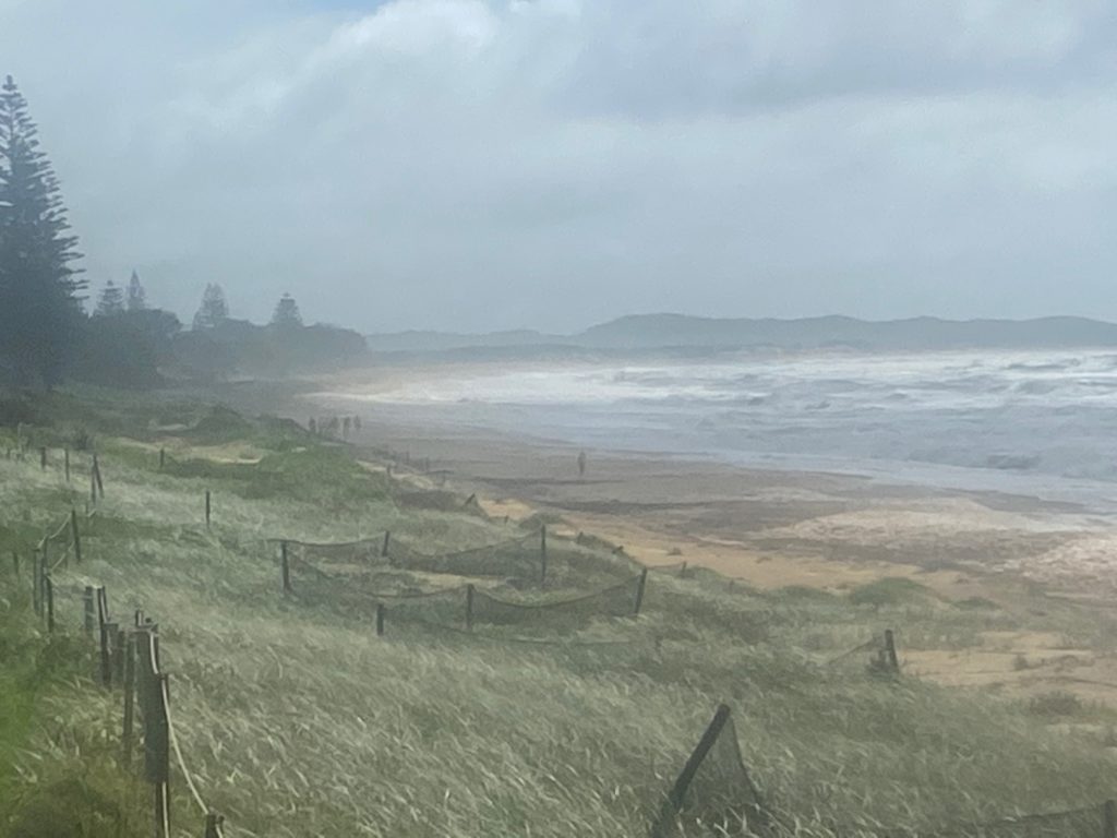 Updates on Wooli Beach Protection Efforts